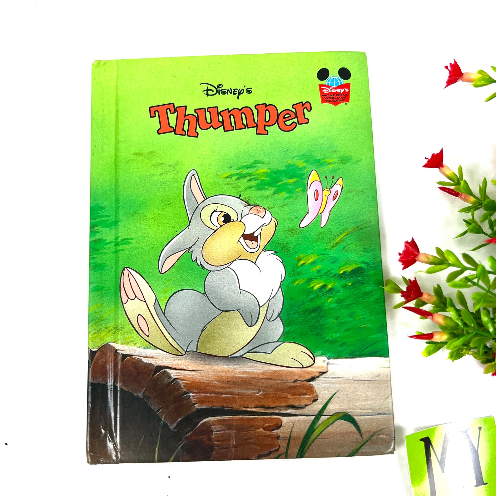 2003 Walt Disney's Thumper Scholastic Publishing Book Gift - Etsy