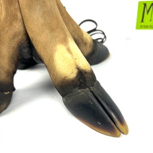 Vintage Lamp - Taxidermy African Kudu Hoof Lamp - Safari Lodge Decor ...