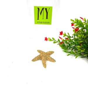 Vintage North Florida Dried Starfish L - Coastal Decor - Shell for ...