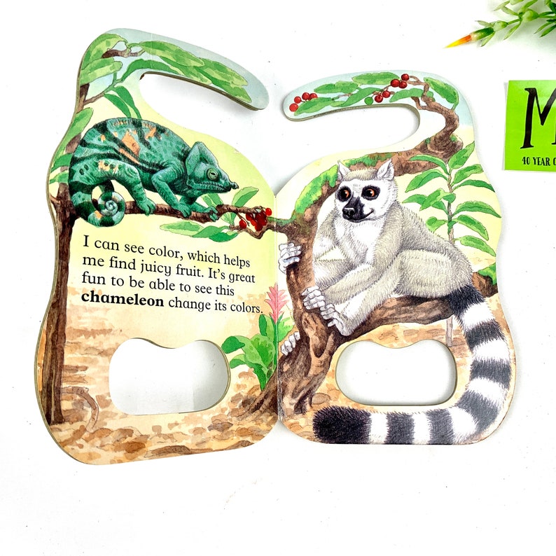 1993 Hook A Book Lemur: Children's Collectible Board Book - Etsy