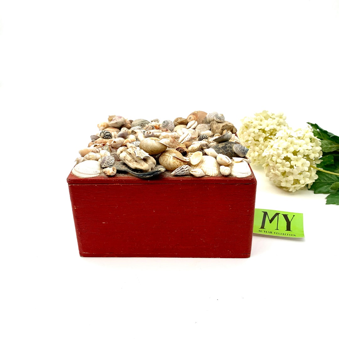 Vintage Handmade Seashell Trinket Box Red Wooden Box Seashell Lid ...