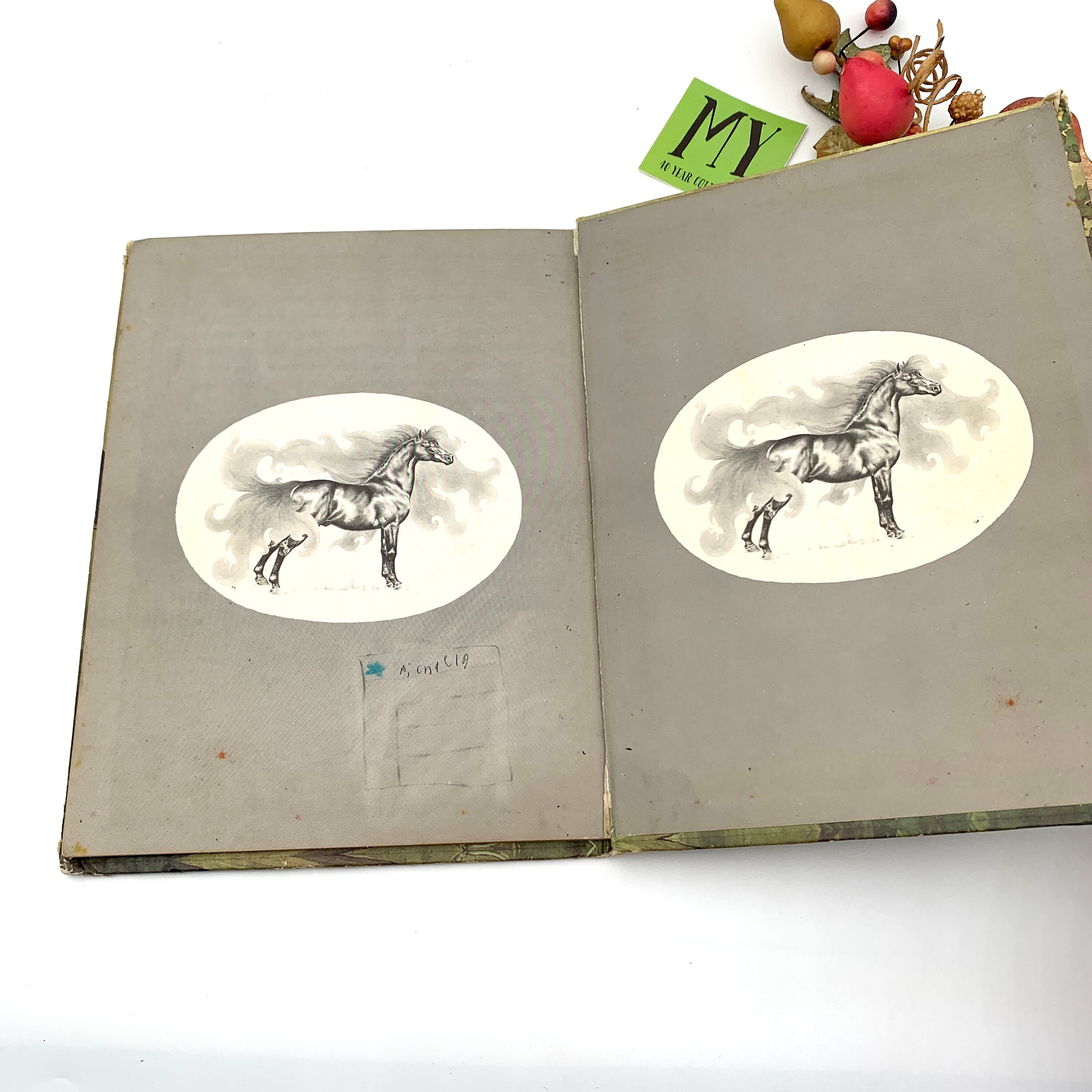 1977 Doodlebug Children's Vintage Book about a Horse Book | Etsy