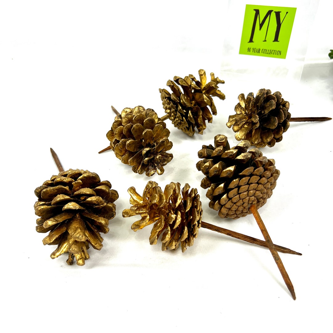Vintage Set of Six Gold Brushed Pine Cone Picks, Pine Cones on a Wooden ...