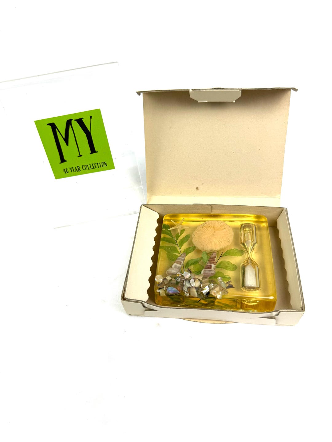 Vintage Resin Beach Paperweight With Seashells, Starfish, Fern ...