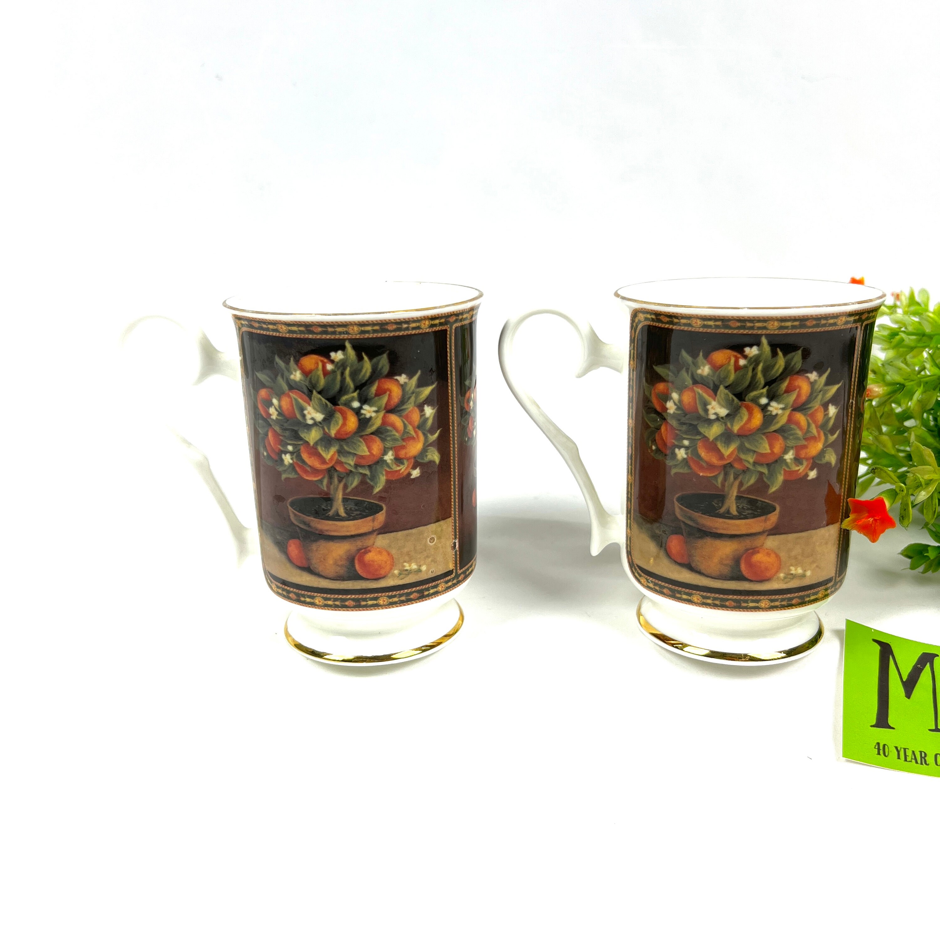 Vintage Royale Garden Bone China Mugs: Orange Tree Gold Trim, Made in ...