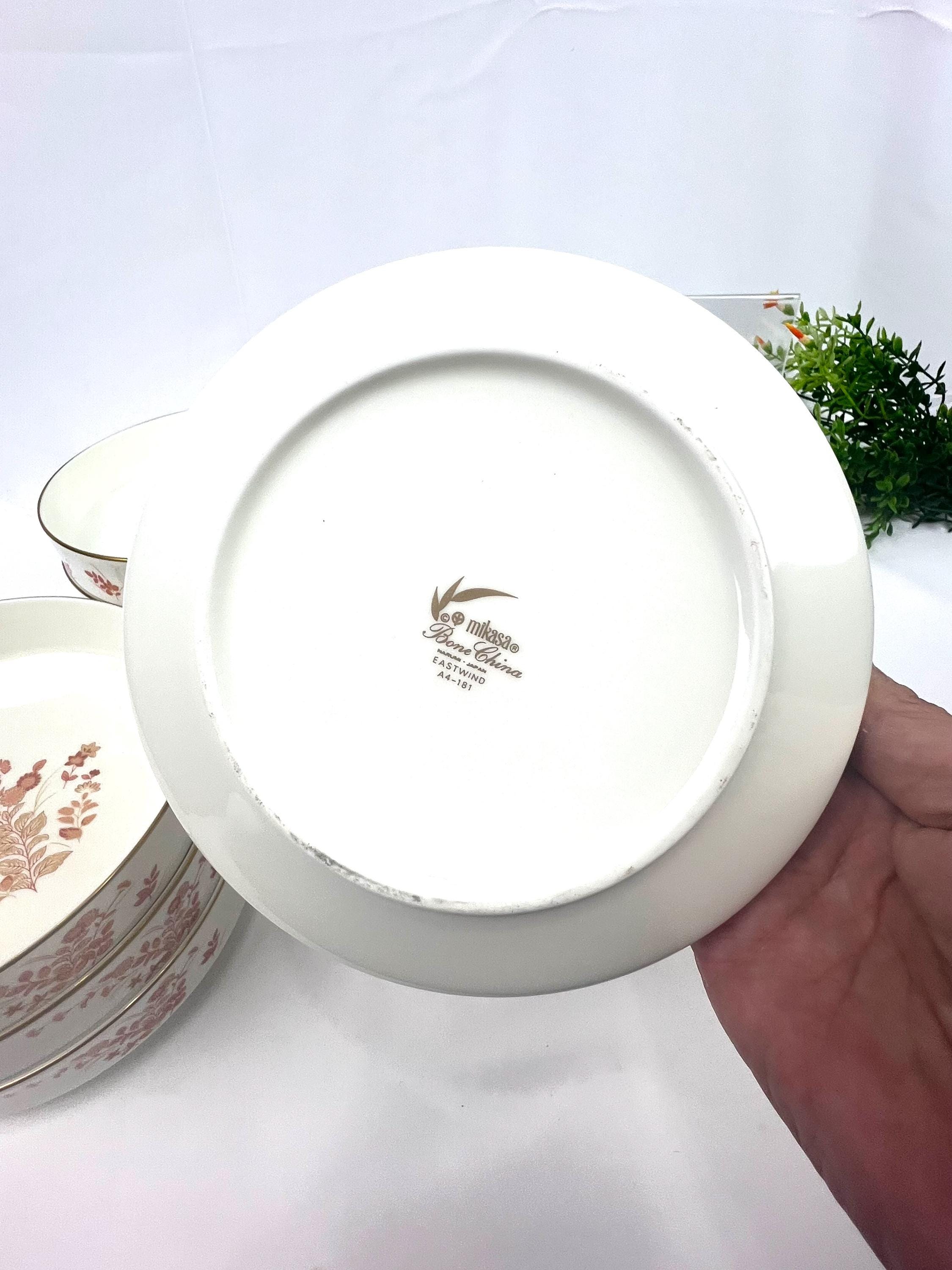 Vintage Mikasa Eastwind Bone China Coupe Fruit Dessert Bowl: Rust ...