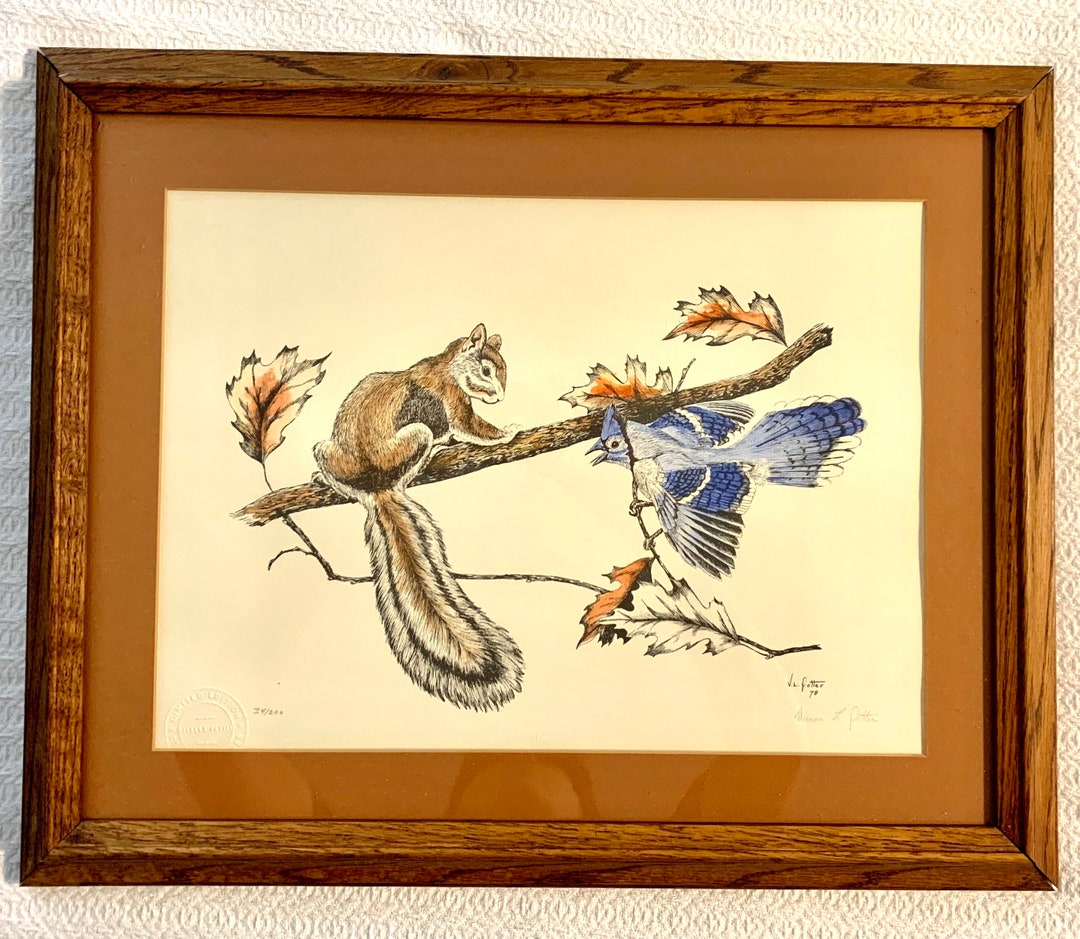 Vintage Squirrel and Blue Bird Drawing by Vernon L Potter, 1978, Signed ...