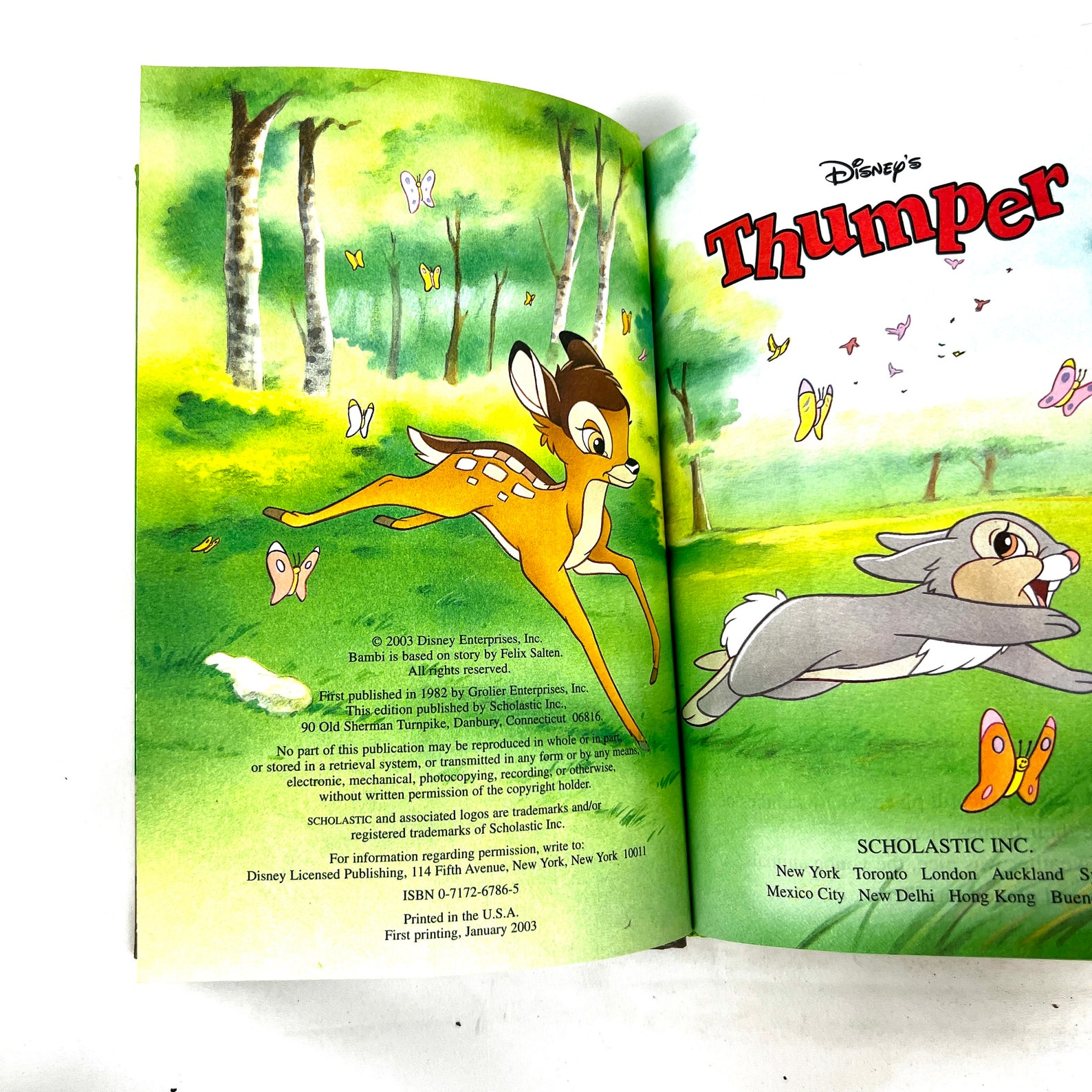 2003 Walt Disney's Thumper Scholastic Publishing Book Gift - Etsy
