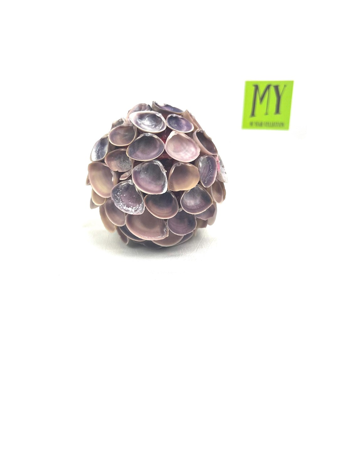 Vintage Seashell Sphere: Handcrafted Coastal Decor, Beach House Bowl ...