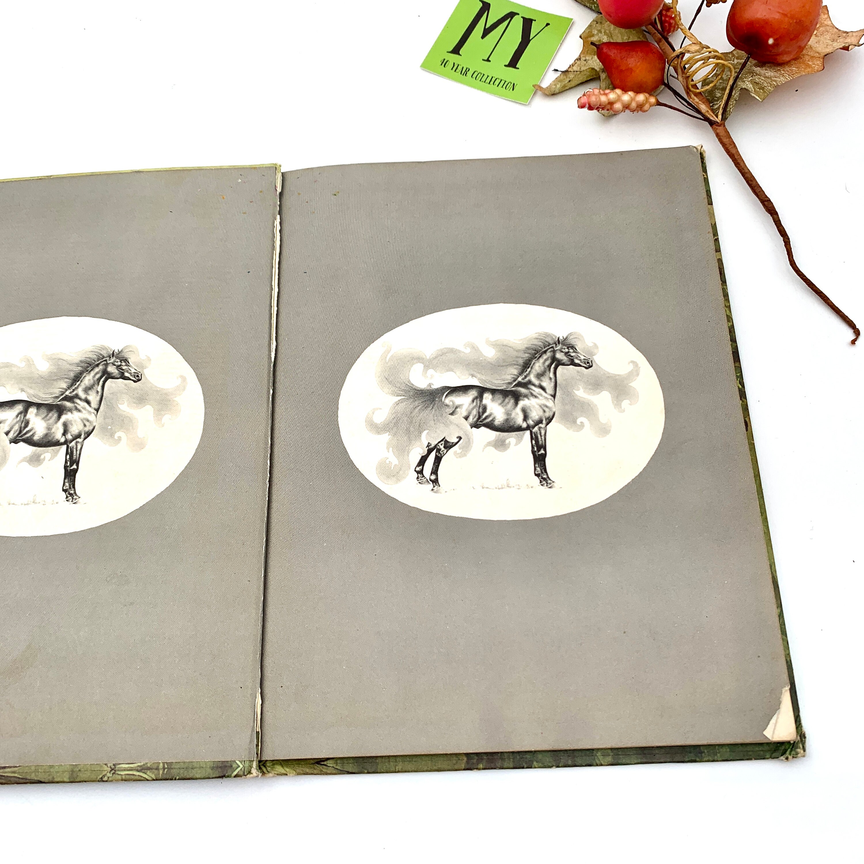 1977 Doodlebug Children's Vintage Book about a Horse Book | Etsy