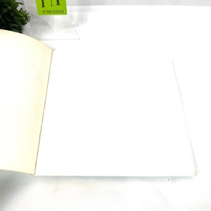 1989 the Great White Man-eating Shark by Margaret Mahy and Jonathan ...