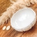 Textured White Shell Bowl Serving Bowl Salad Bowl Al - Etsy UK
