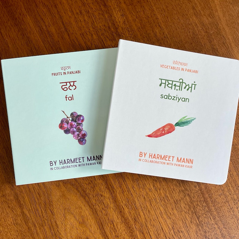Punjabi Books Set - Etsy UK