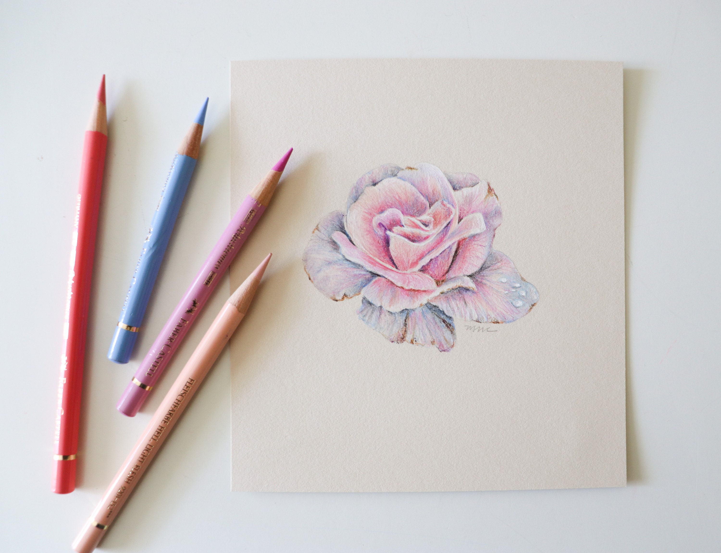 ORIGINAL Pale Rose Colored Pencil Art - Etsy