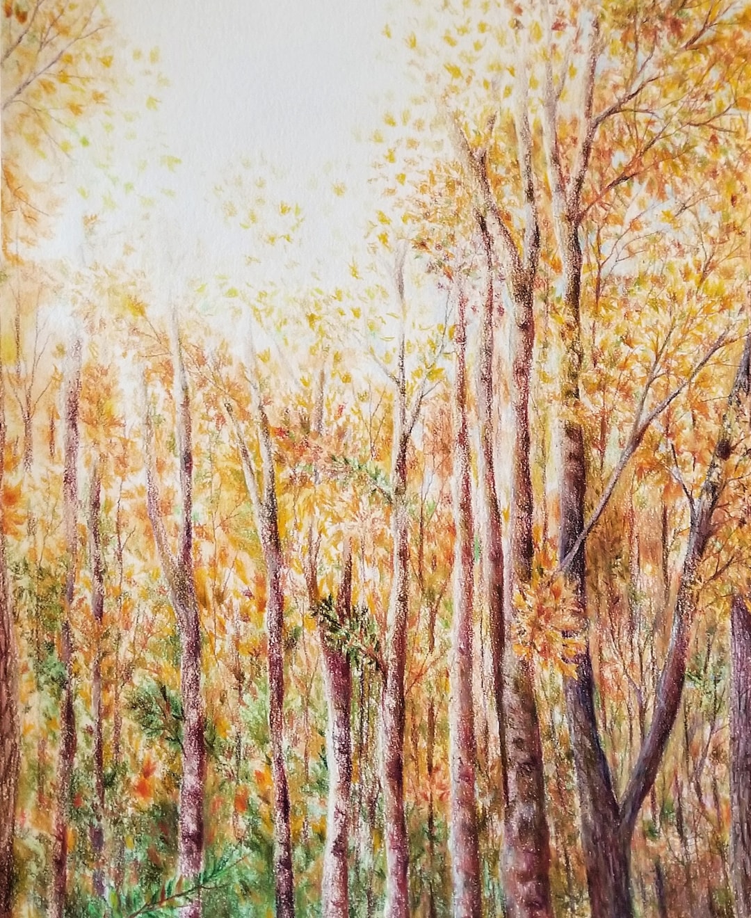 ORIGINAL 8"x10" Golden Gardens Autumn Colored Pencil Drawing - Etsy