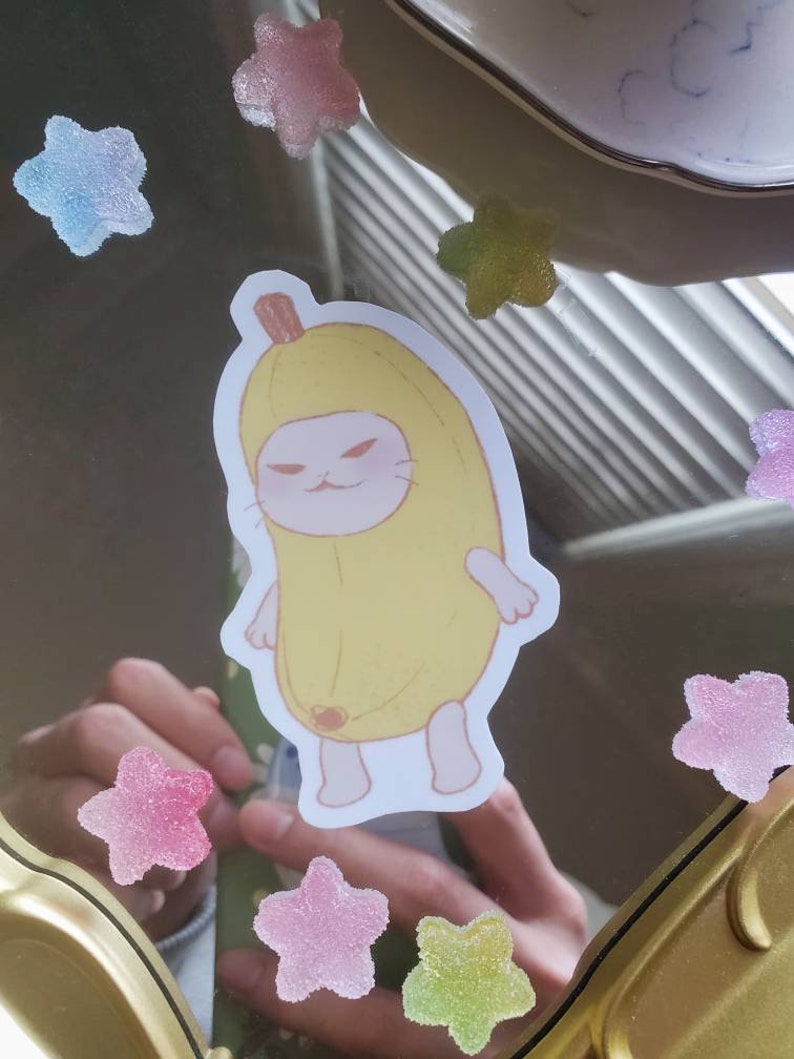 Banana Cat Meme Sticker Set - Etsy