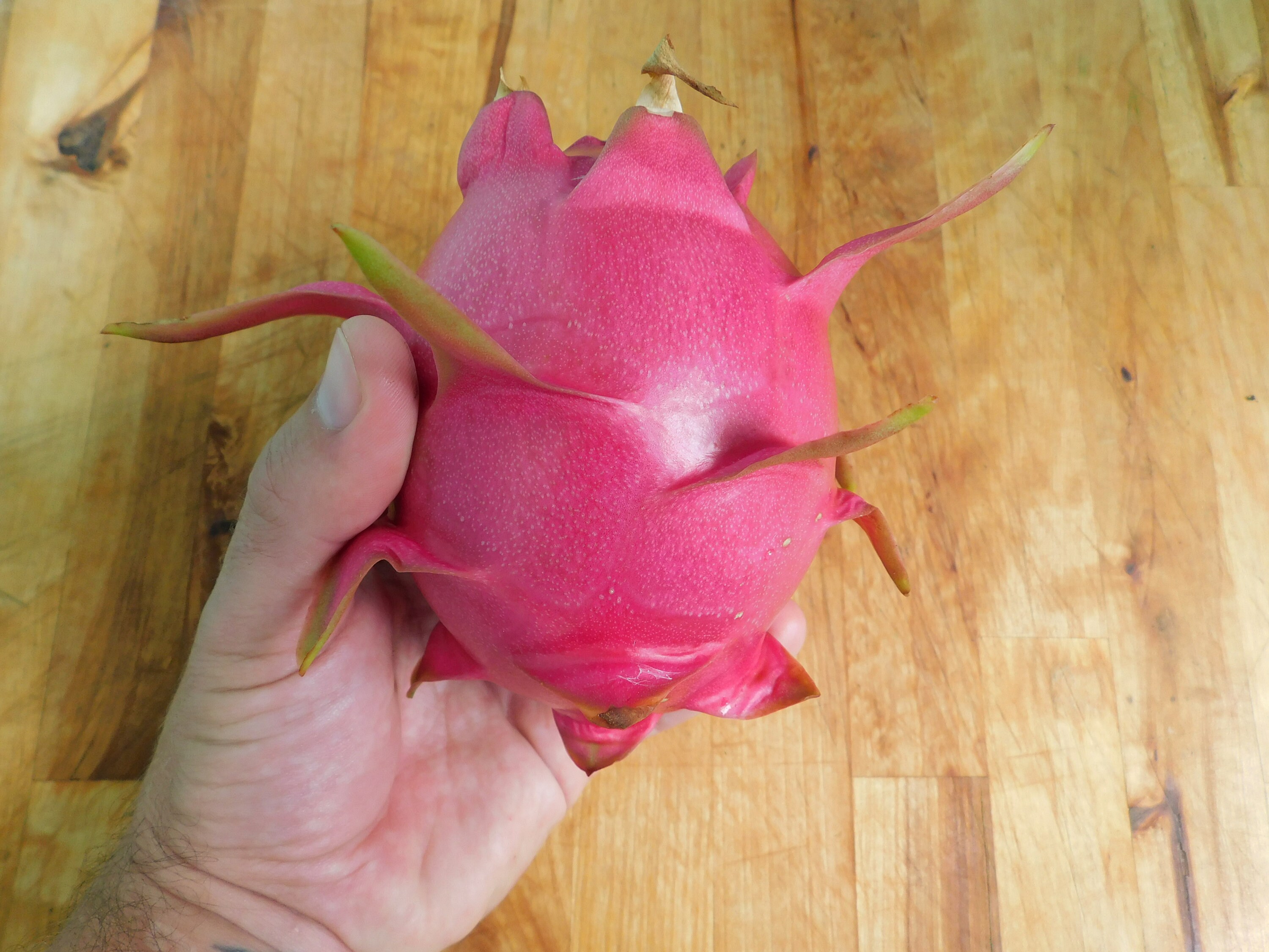 DELIGHT Dragon Fruit Cutting | Etsy