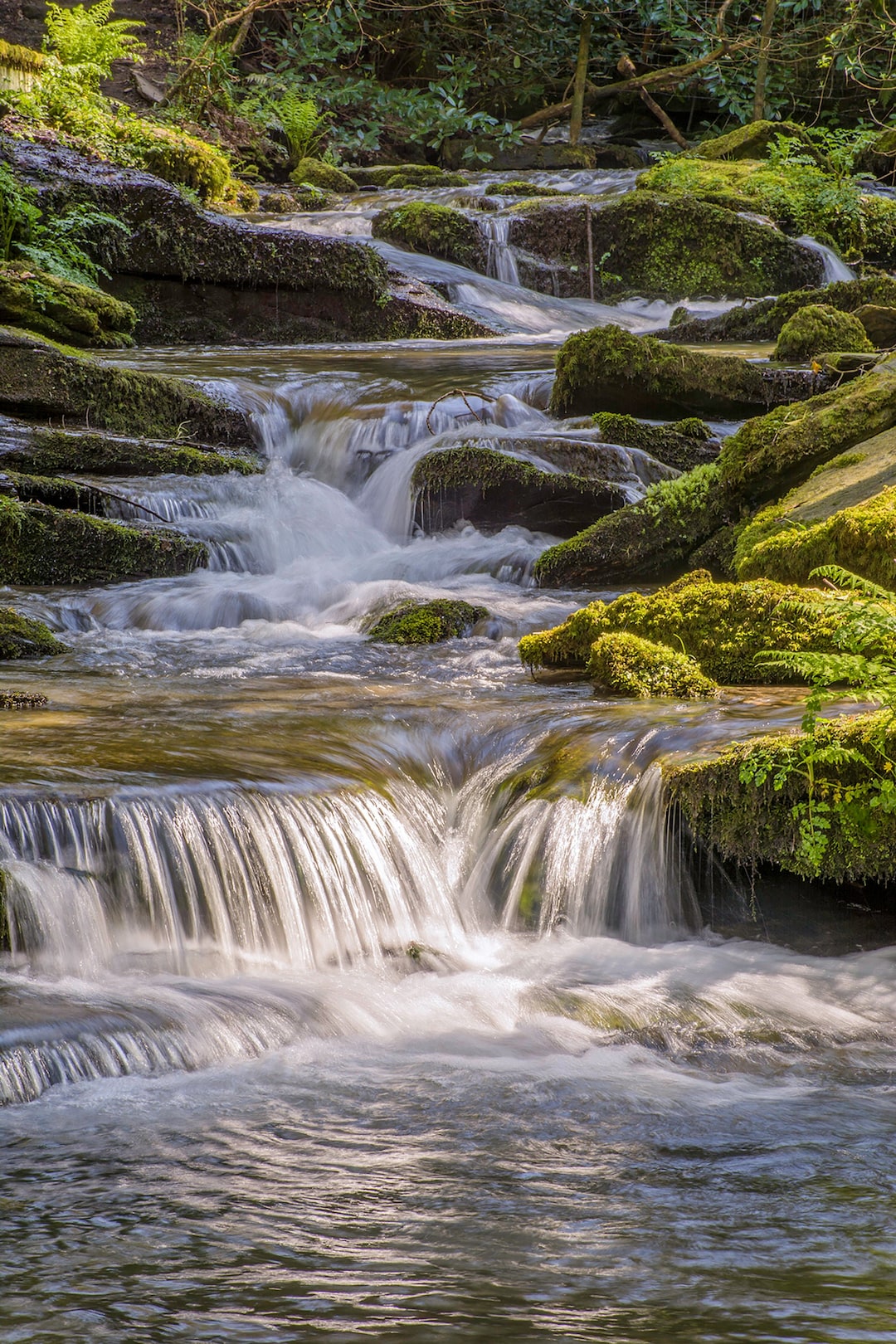 Sunkissed River/waterfall/river/moving Water/cornish River/woodland ...