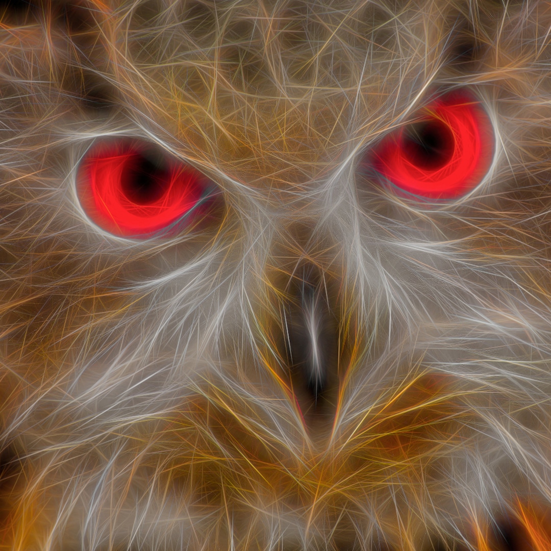Electric Owl/ Birds/ Owls/ Wildlife/ Wall Art/ Eyes/digital Art ...