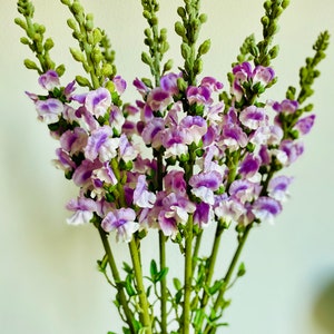 Purple Snapdragon Long Stem, Realistic Artificial Snapdragon, Life Like ...