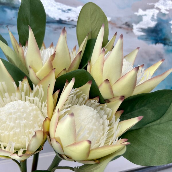 King Protea Etsy