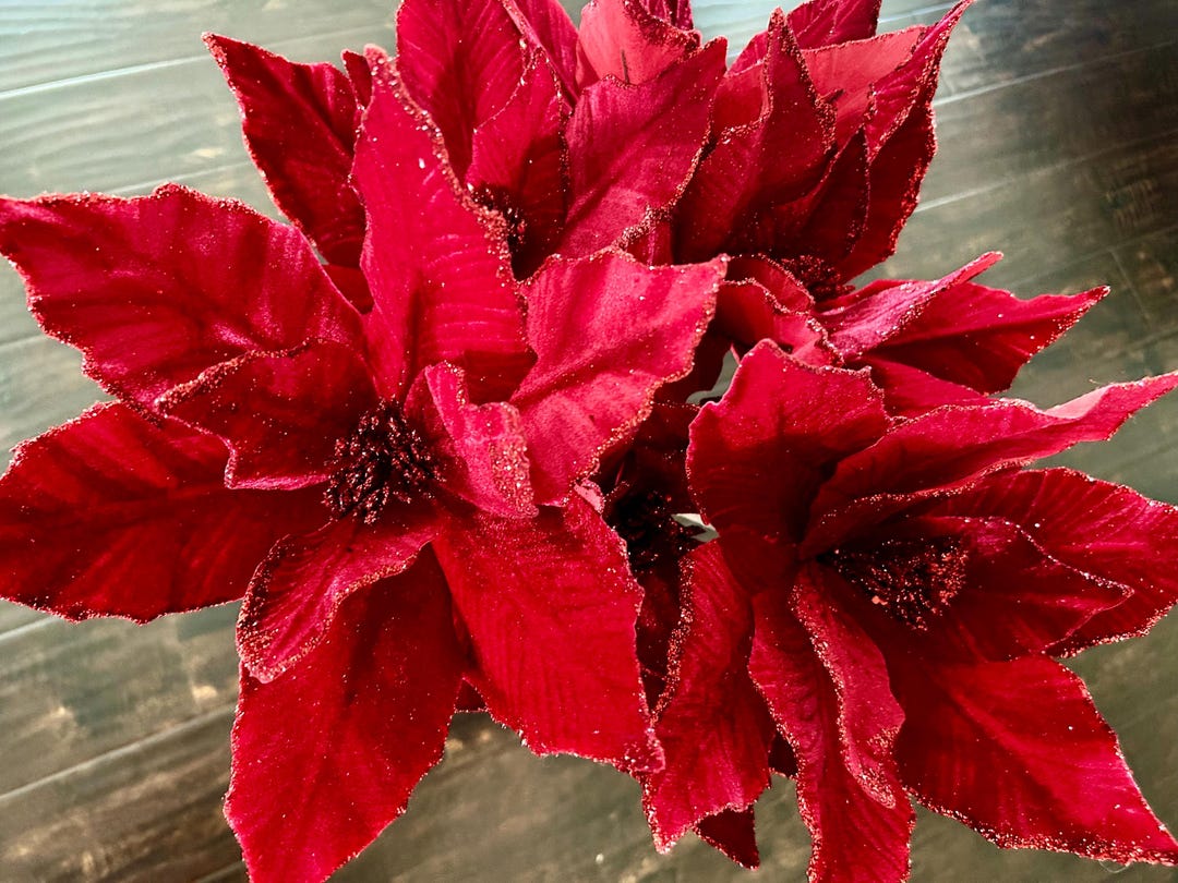 Red Velvet Glittered Edge Poinsettia Long Stem, Red Artificial ...