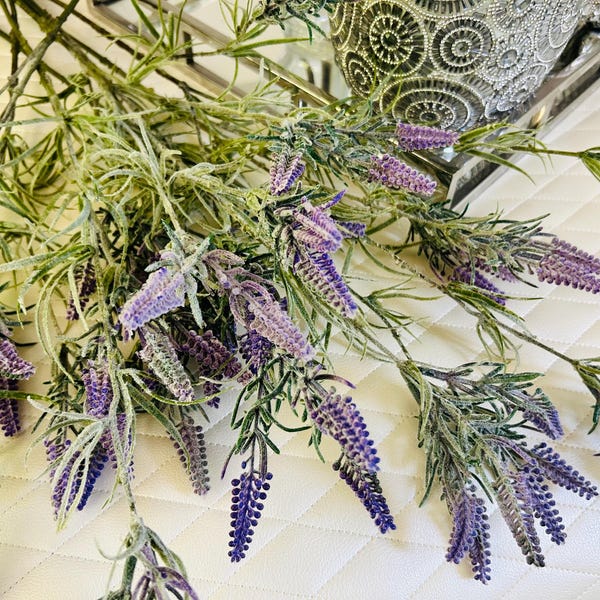 Real Lavender - Etsy