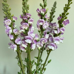 Purple Snapdragon Long Stem, Realistic Artificial Snapdragon, Life Like ...