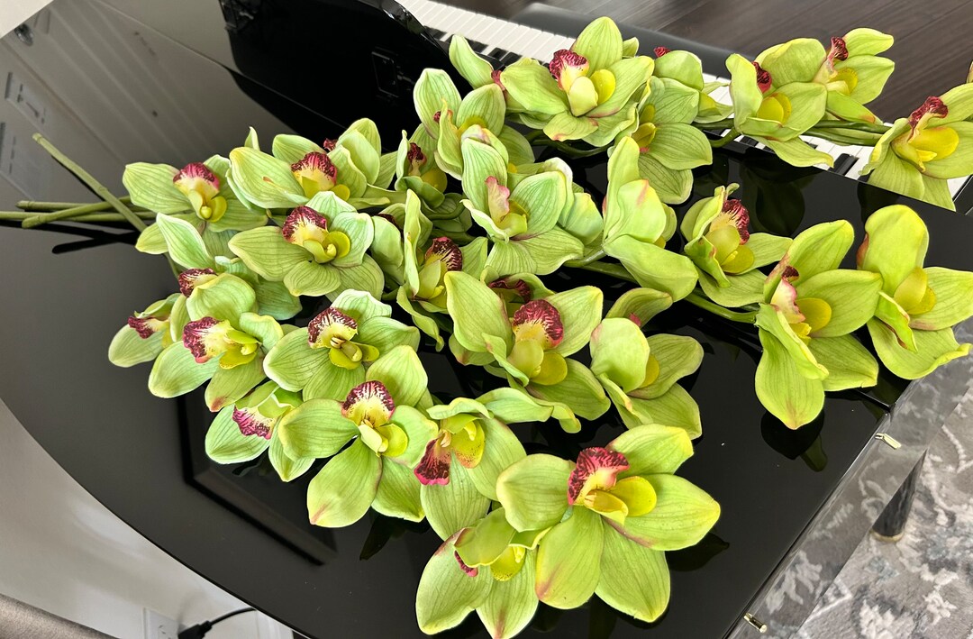 Real Touch Large Cymbidium Stem, Long Stem Faux Orchid, Realistic Green ...