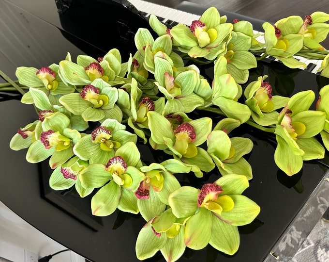Real Touch Large Cymbidium Stem, Long Stem Faux Orchid, Realistic Green ...