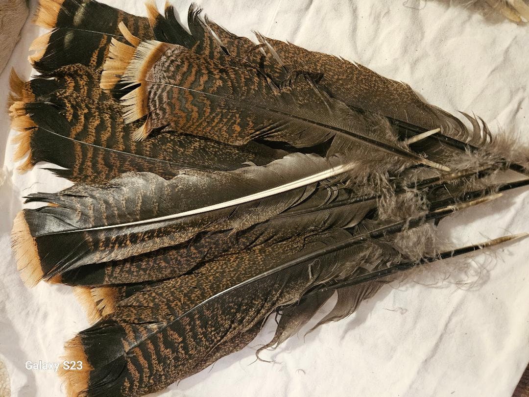 Wild Turkey Feathers for Smudging, Jewelry, Crafts, Rituals - Etsy