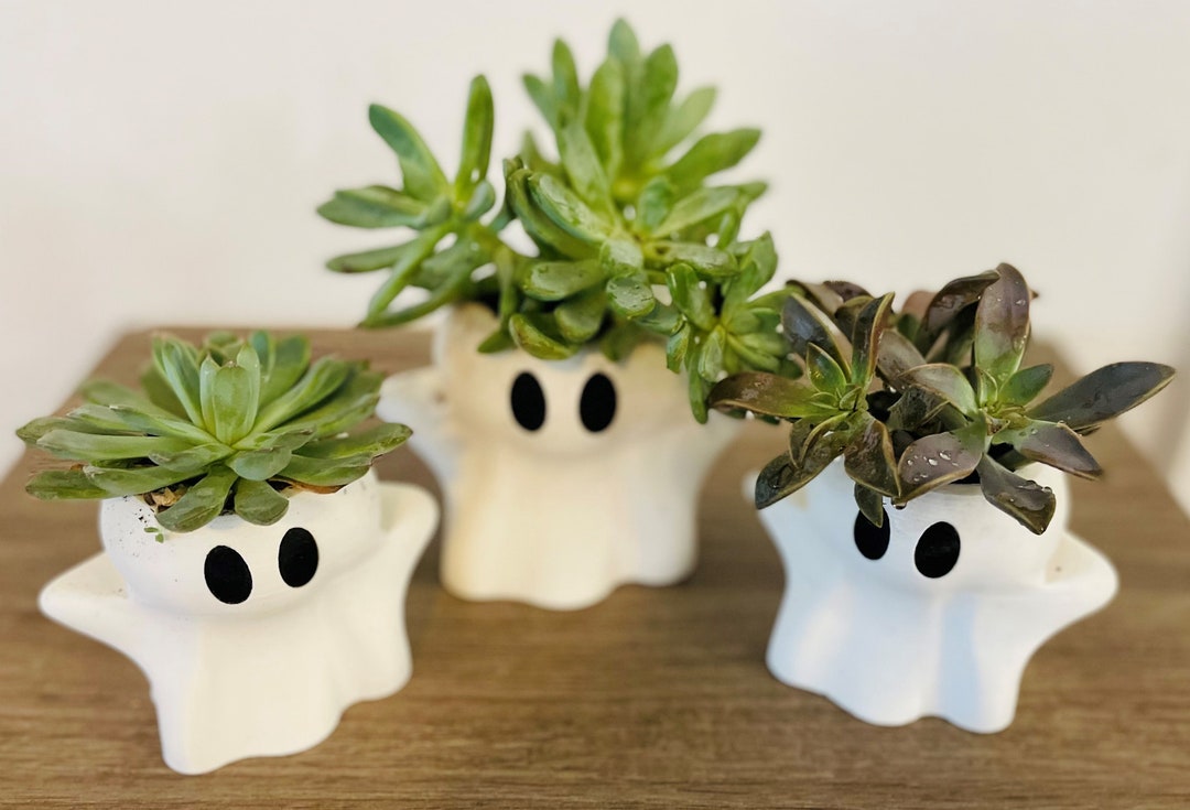 Spectral Serenity: 3D Printed Halloween Ghost Shaped Planter for ...