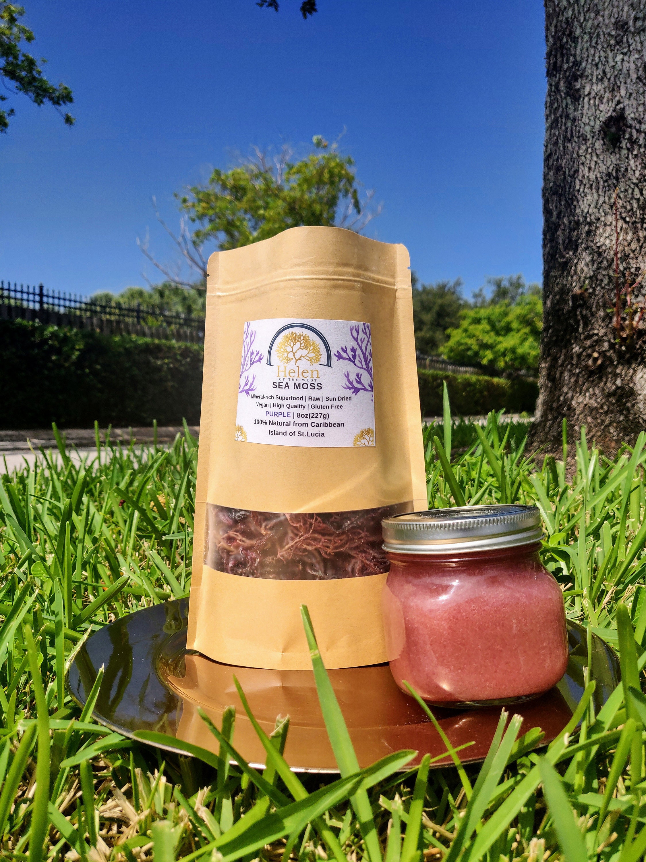 Wildcrafted Sea Moss From St.lucia Organic Sea Moss | Etsy