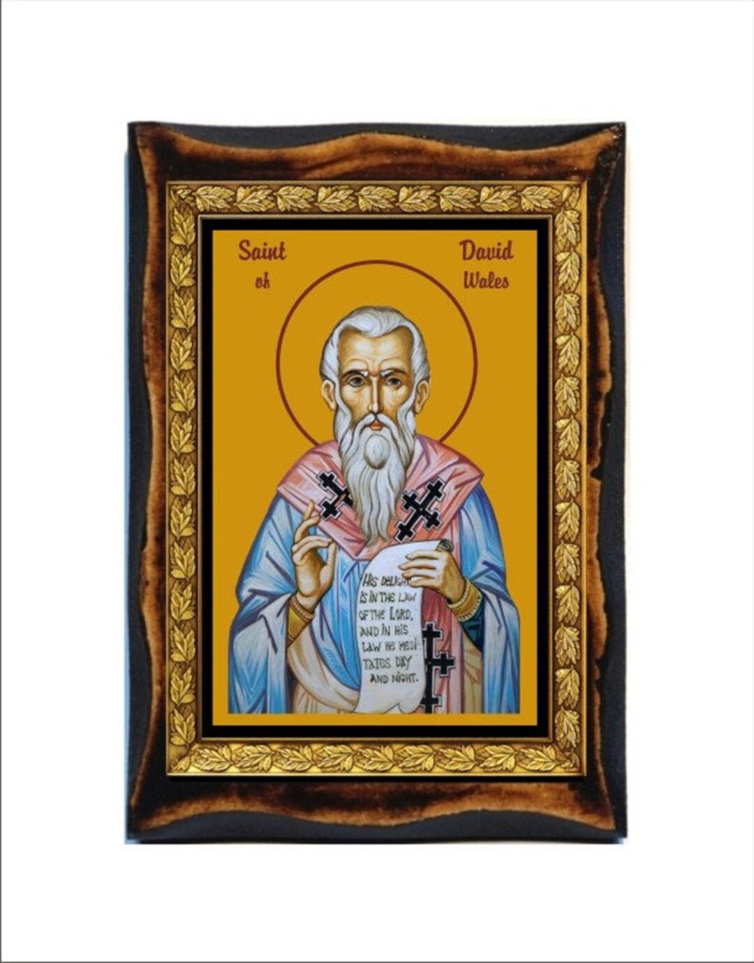 Saint David Davide Di Menevia San Davide David De Ménevie David De ...