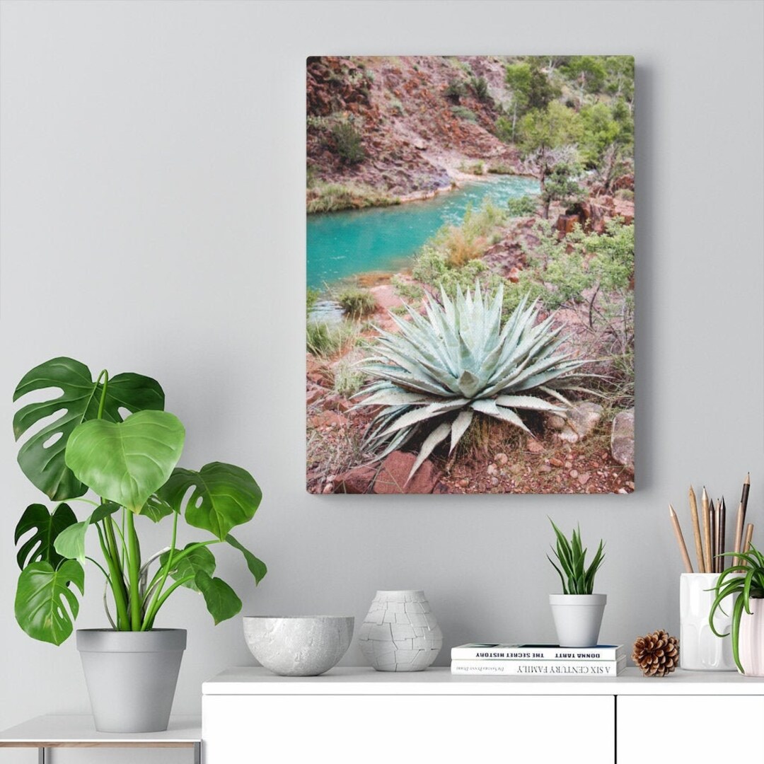 Desert Cactus, Desert Canvas, River Photo, Landscape Photo, Desert ...