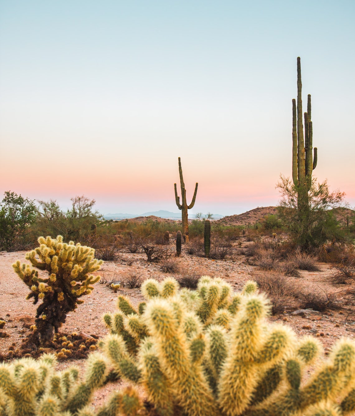 Desert Shower Curtain, Cactus Shower Curtain, Cactus Decor, Sunset ...