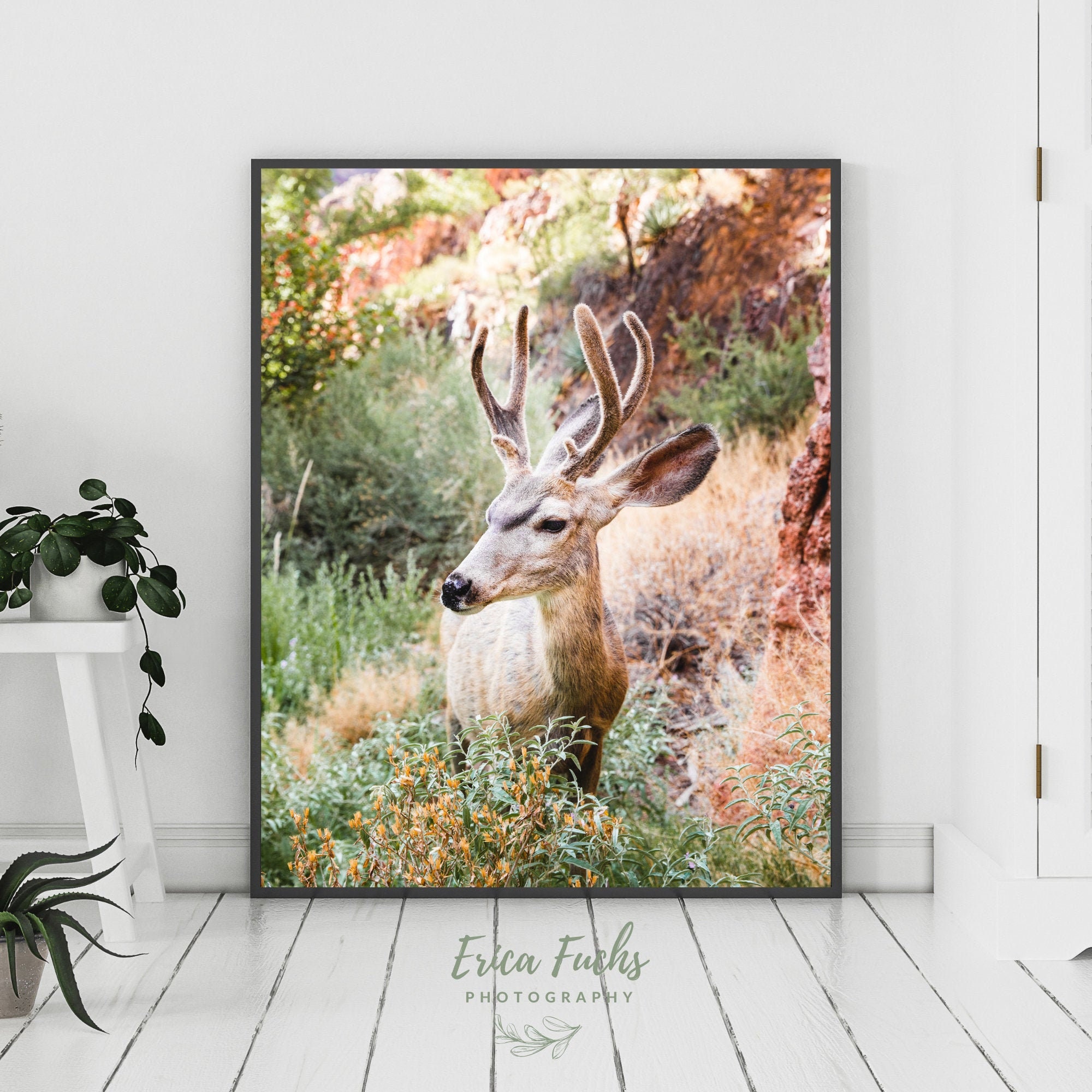 Deer Photography Deer Portrait Deer Decor Forest Poster - Etsy