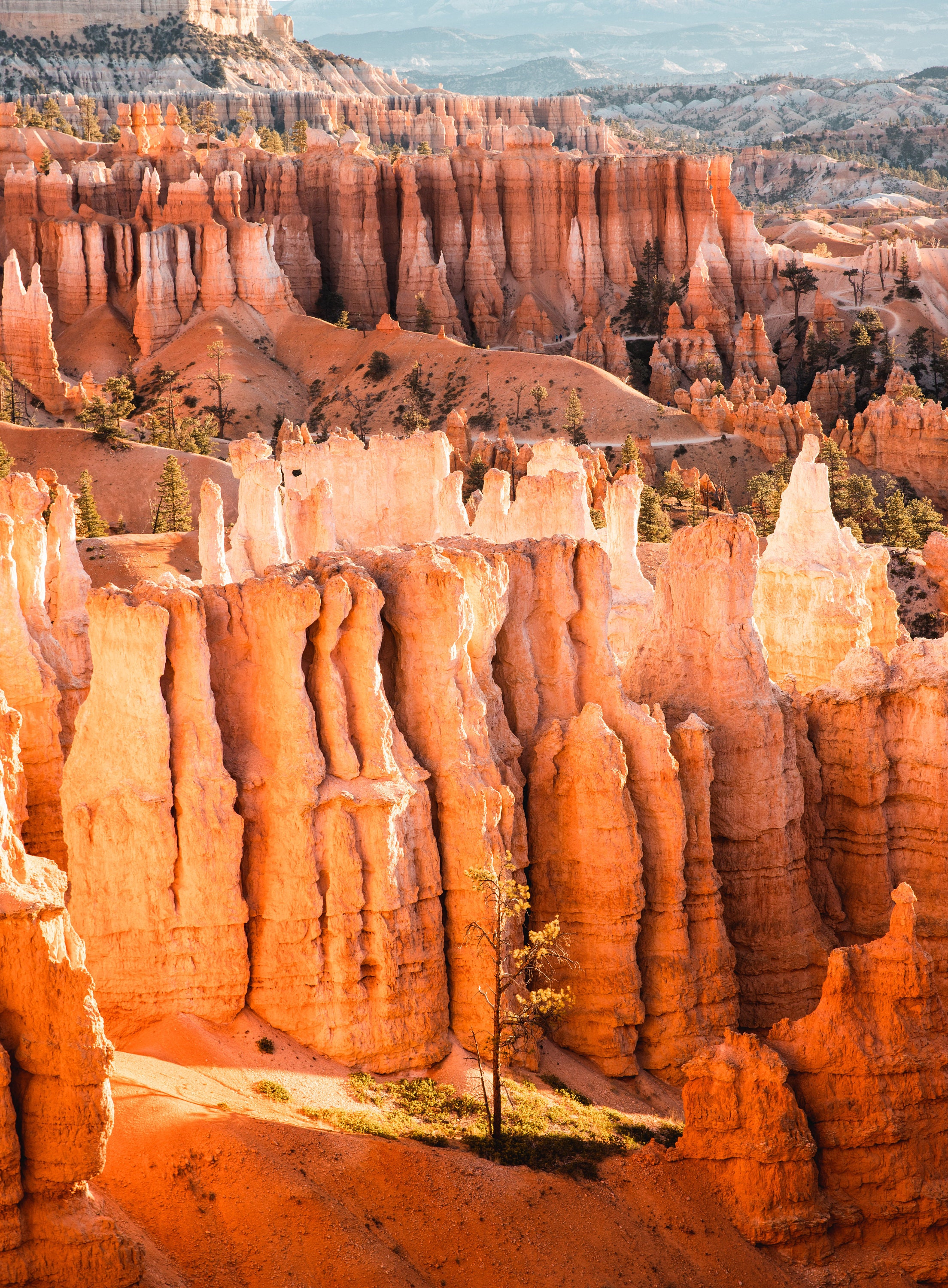 Desert Tapestry, Bryce Canyon, Orange Tapestry, Desert Rocks, Southern ...