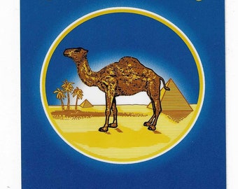 Camel Logo Subliminal
