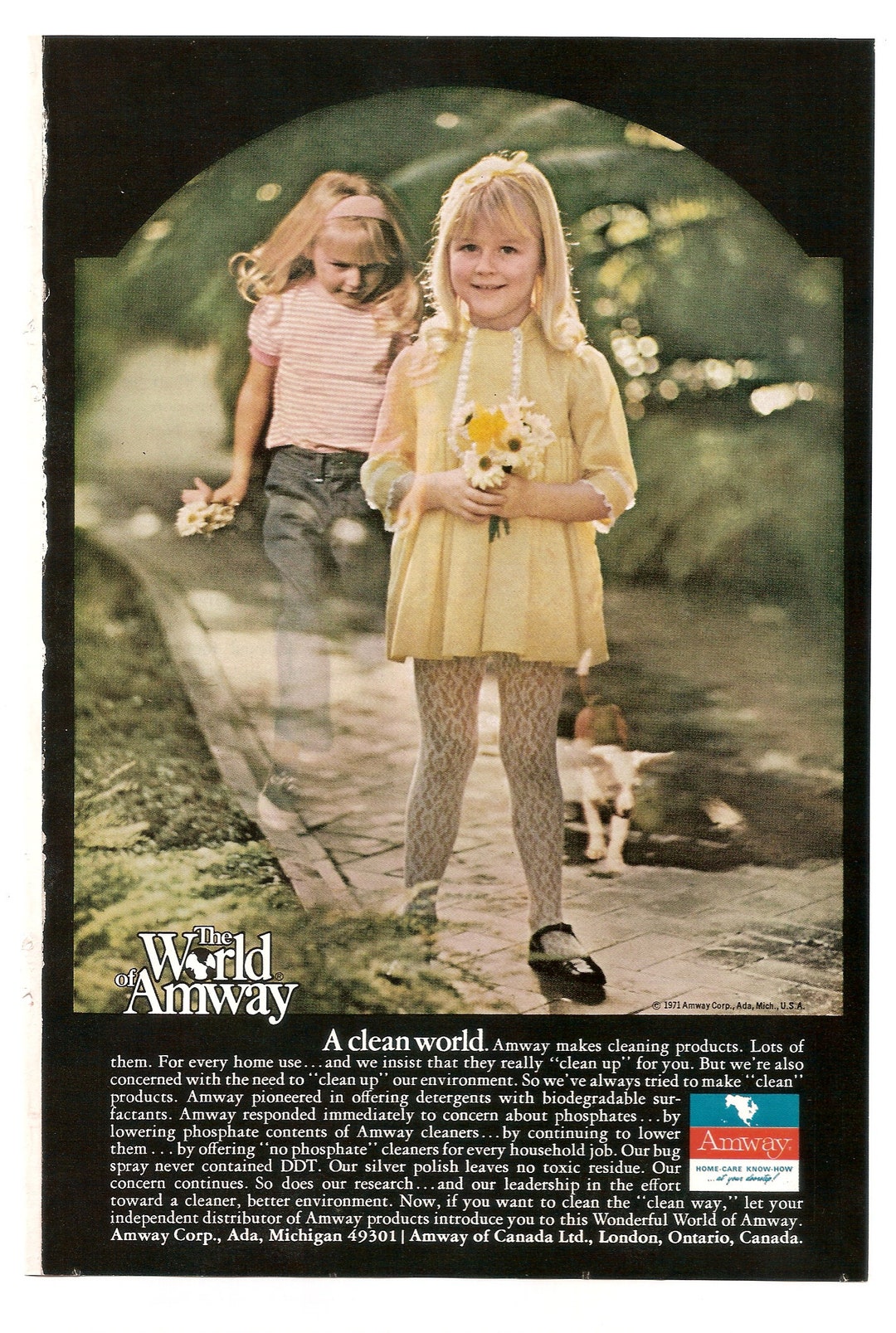 Original 1971 Full Page Magazine Advertisement for Amway Cleaning ...