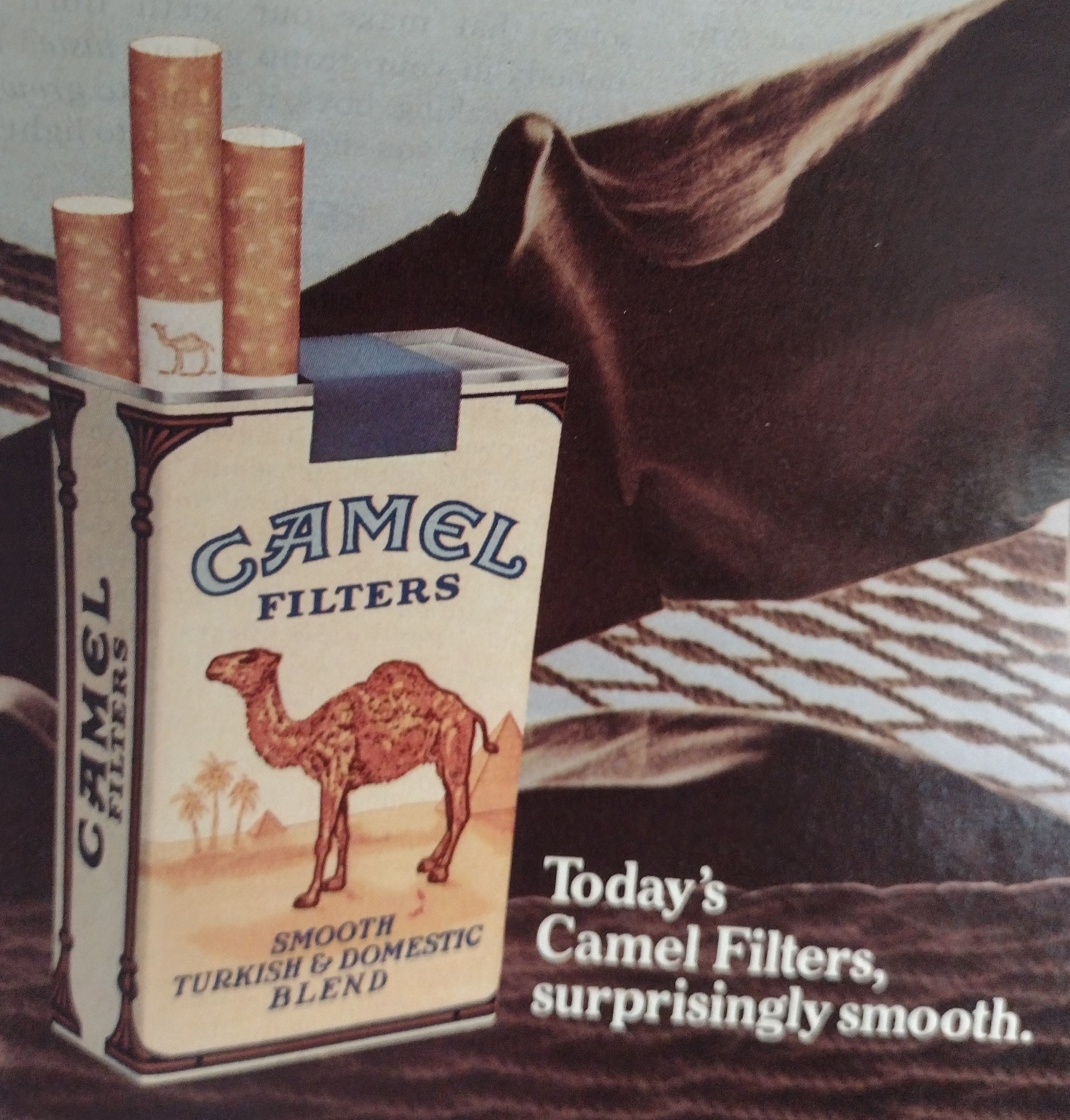 Camel Unfiltered