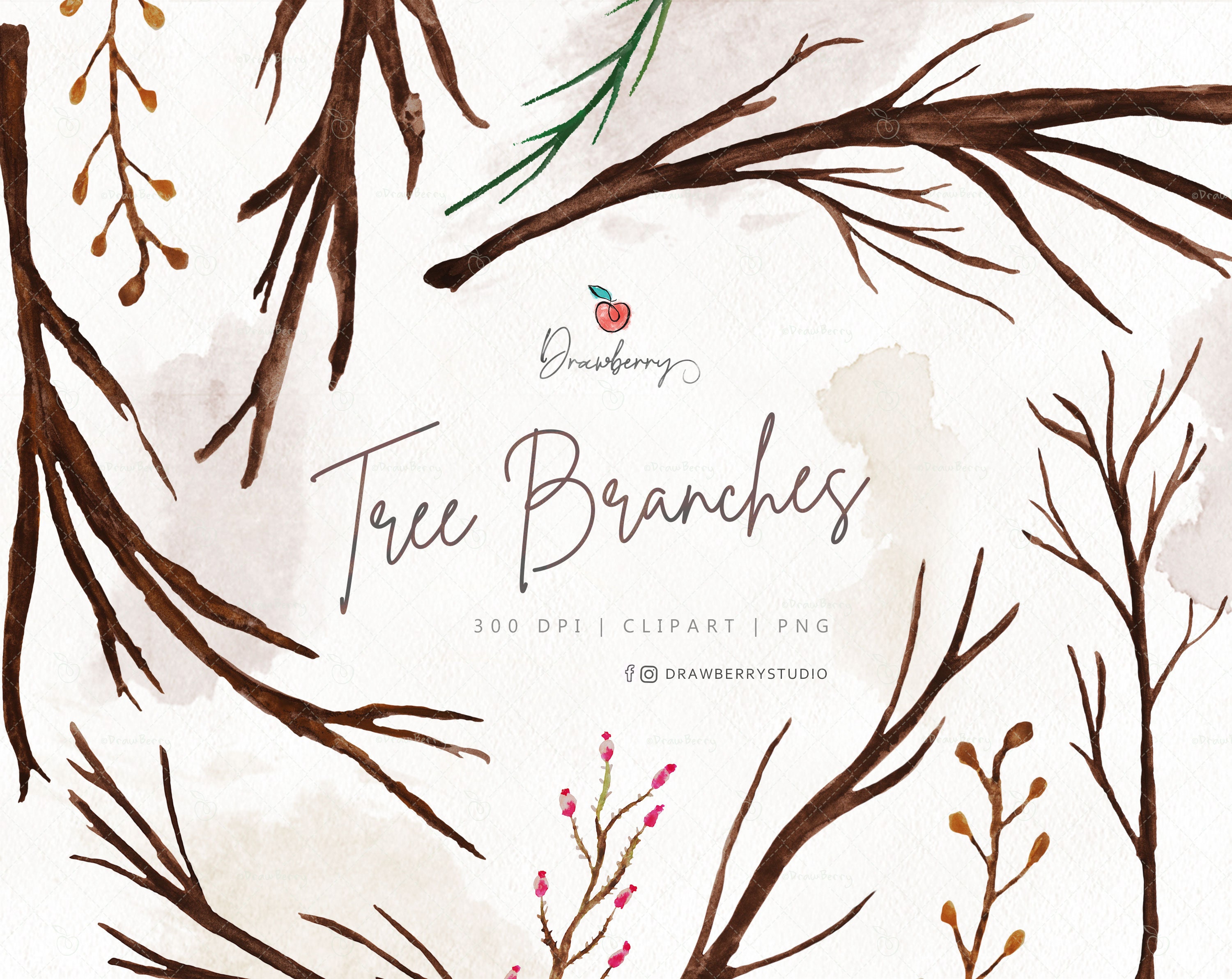 Tree Branch Graphics