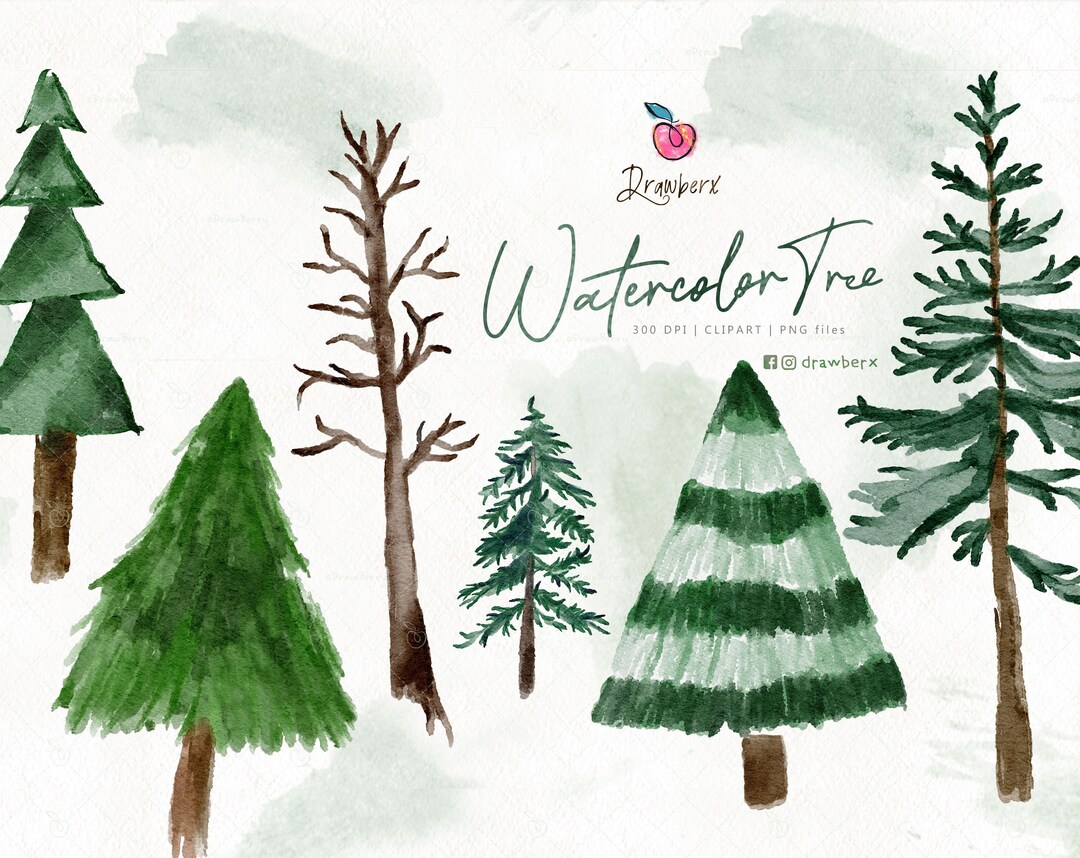 Pine Tree Clipart Watercolor Christmas Tree Png Evergreen - Etsy