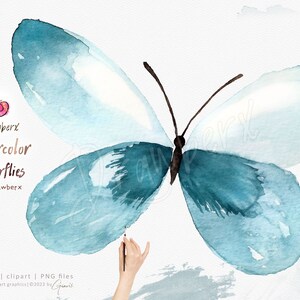 Watercolor Butterfly Clipart / Hand Painted Butterflies, Set of 23 Png ...