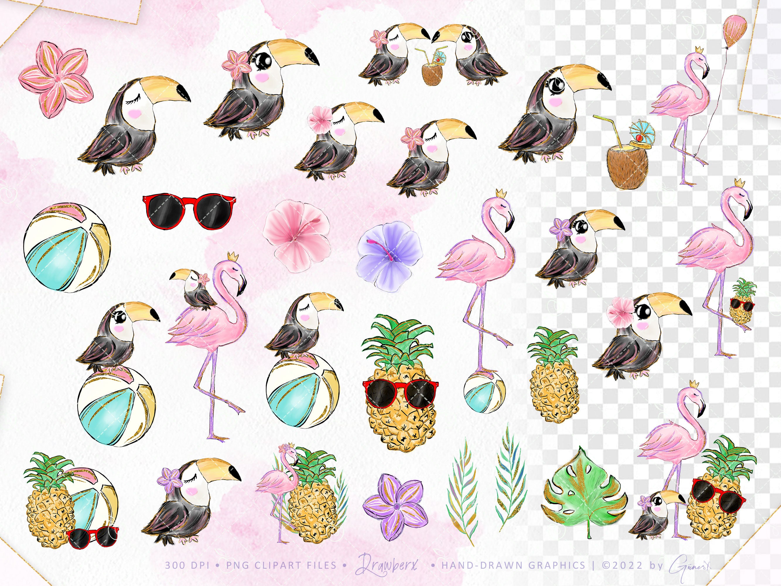 Tropical Summer Clipart Set of Png Files Flamingo Toucan - Etsy