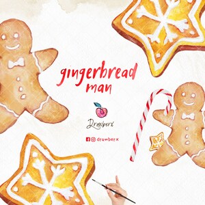 Candy Cane Clipart - Gingerbread Man PNG - Watercolor Christmas Candy ...