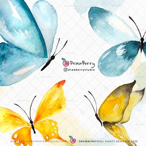Watercolor Butterfly Clipart Hand Painted Butterflies - Etsy