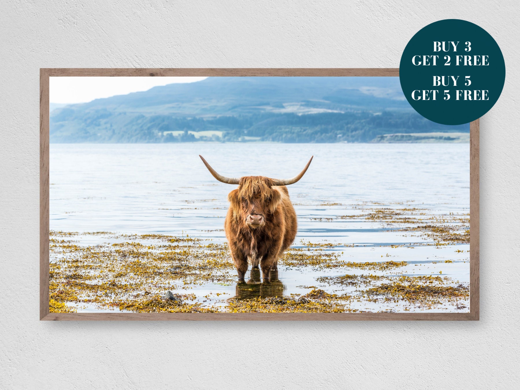Home & Living Wall Décor Digital Art Samsung Frame TV Art Highland Cows ...