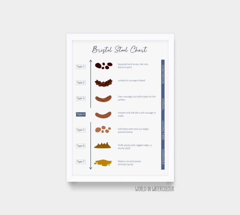 Bristol Stool Chart - Etsy