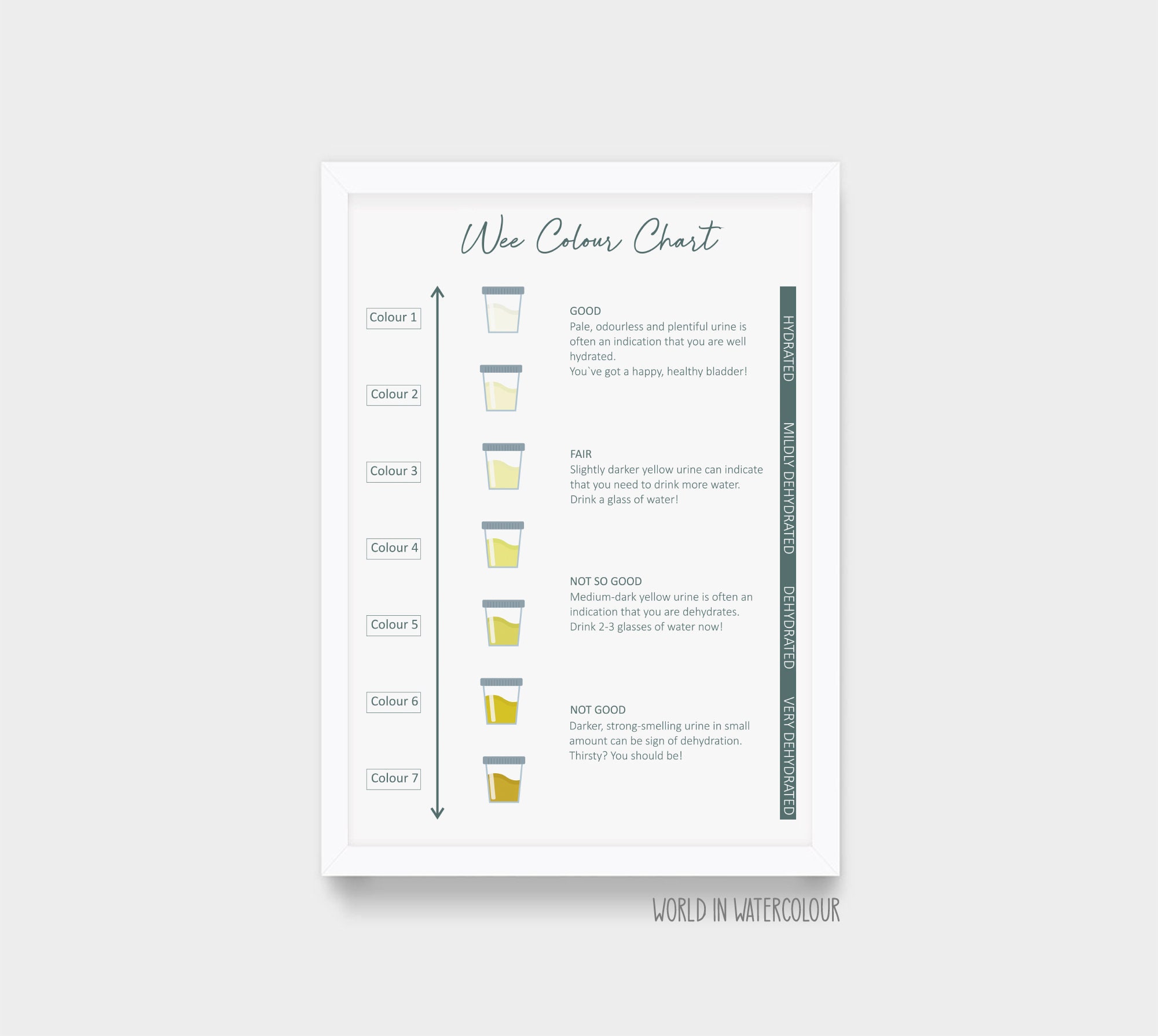 Wee Colour Chart - Etsy